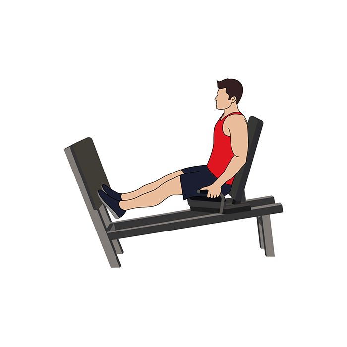 kuit oefeningen - FITNESSSCHEMAS.NL