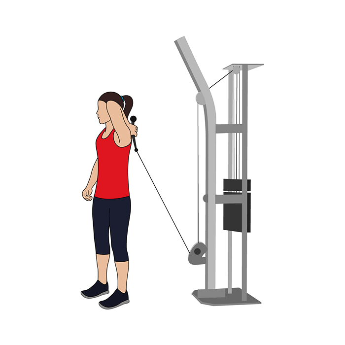 Rope Overhead Extension Gif at Amelie Coxen blog