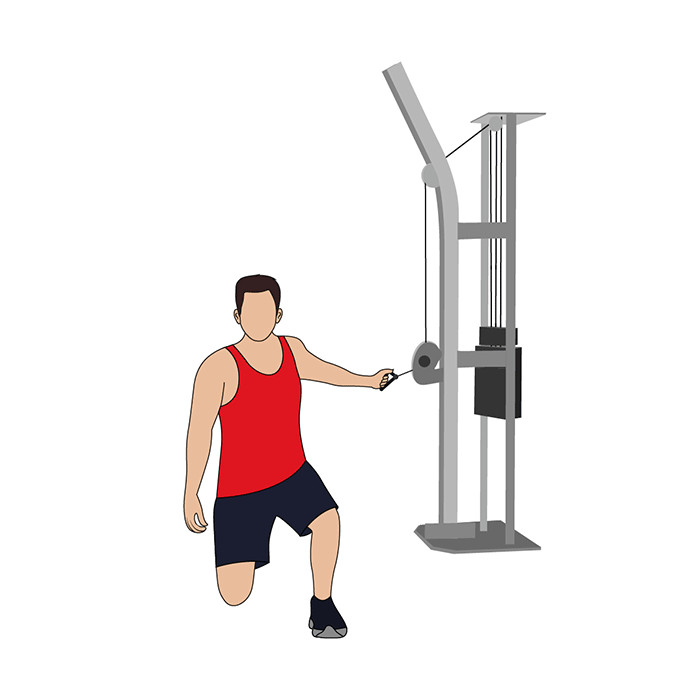 bovenkant borst oefeningen - FITNESSSCHEMAS.NL