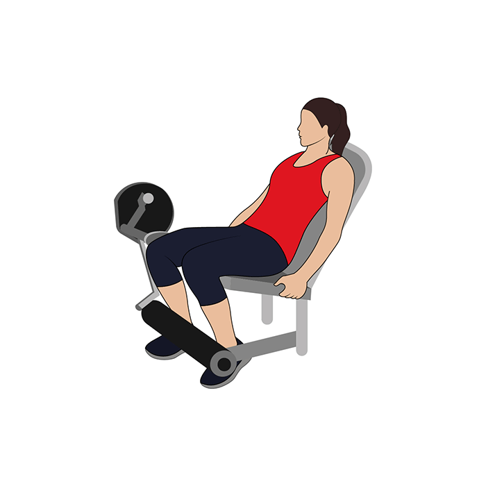 Unilateral Leg Extension | atelier-yuwa.ciao.jp