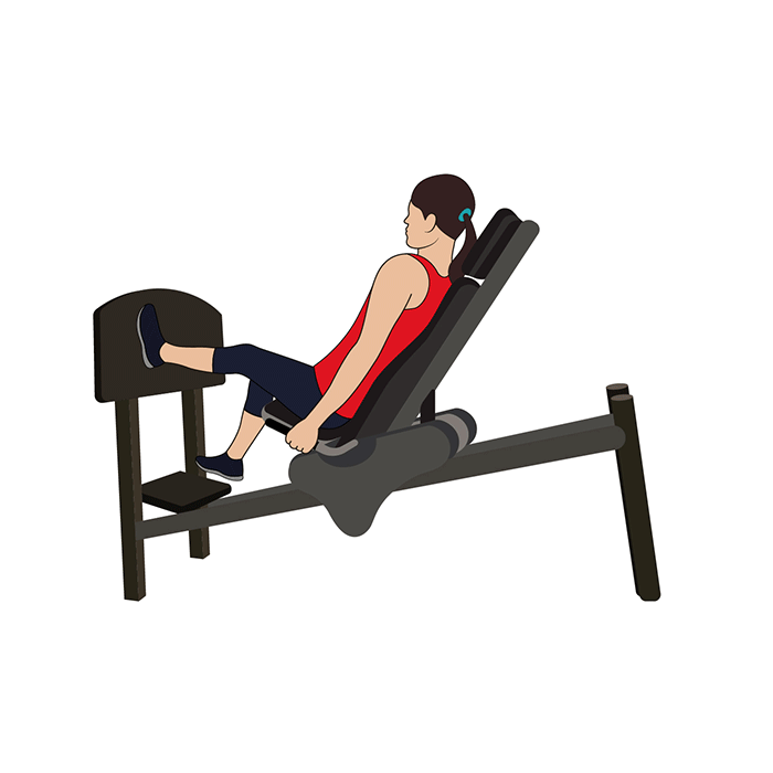 Unilateral Leg Extension | atelier-yuwa.ciao.jp